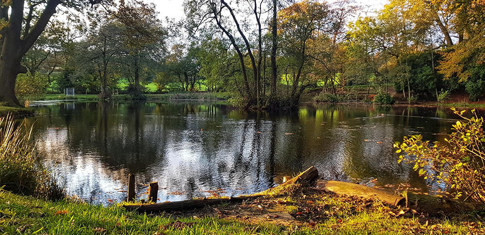 Black Lake | Fenton and District Angling Society