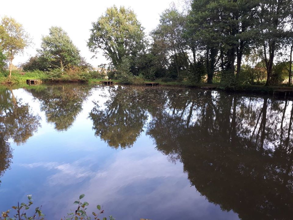Bramshall Farm Pools | Fenton and District Angling Society