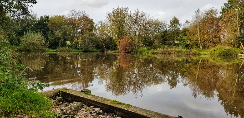Dilhorne Pools | Fenton and District Angling Society